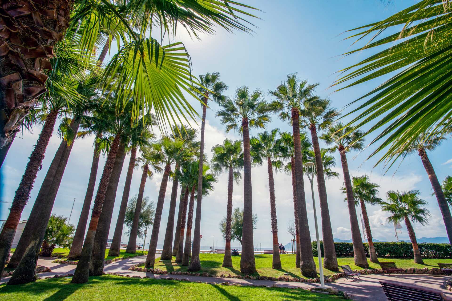 Matkat Ranskan Riviera | Apollo